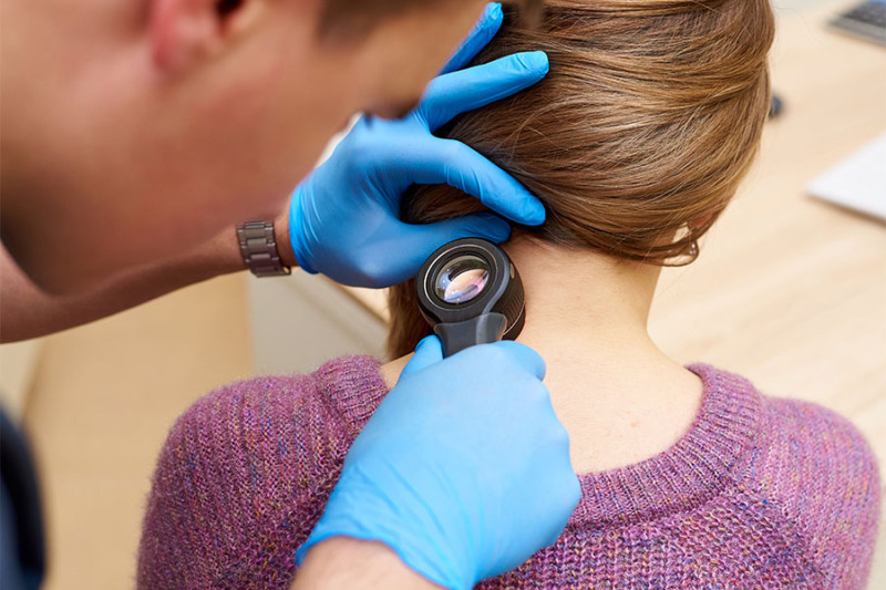 Our Services and Prices – Mole Screen